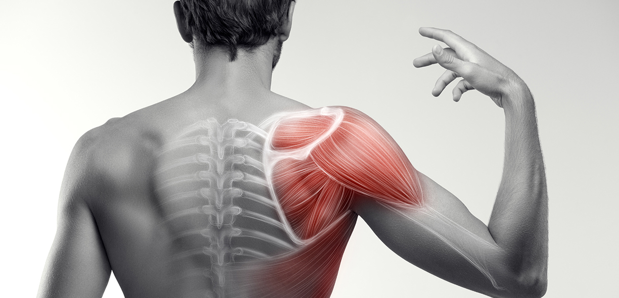 Spalla - Dott. Carlo Massoni - Specialista in chirurgia ortopedica